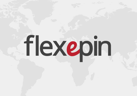 Flexepin Cash Top-Up | Envoyé par e-mail | Dundle (FR)